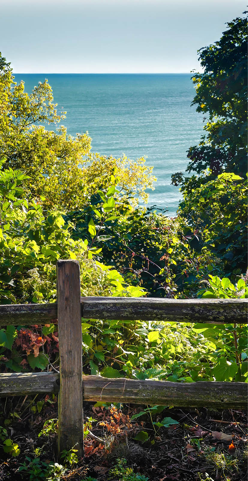 Lake Forest/Lake Bluff 2025 Community Guide